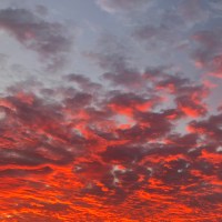 Invincible – Part One – Penelope Walker – writerfs