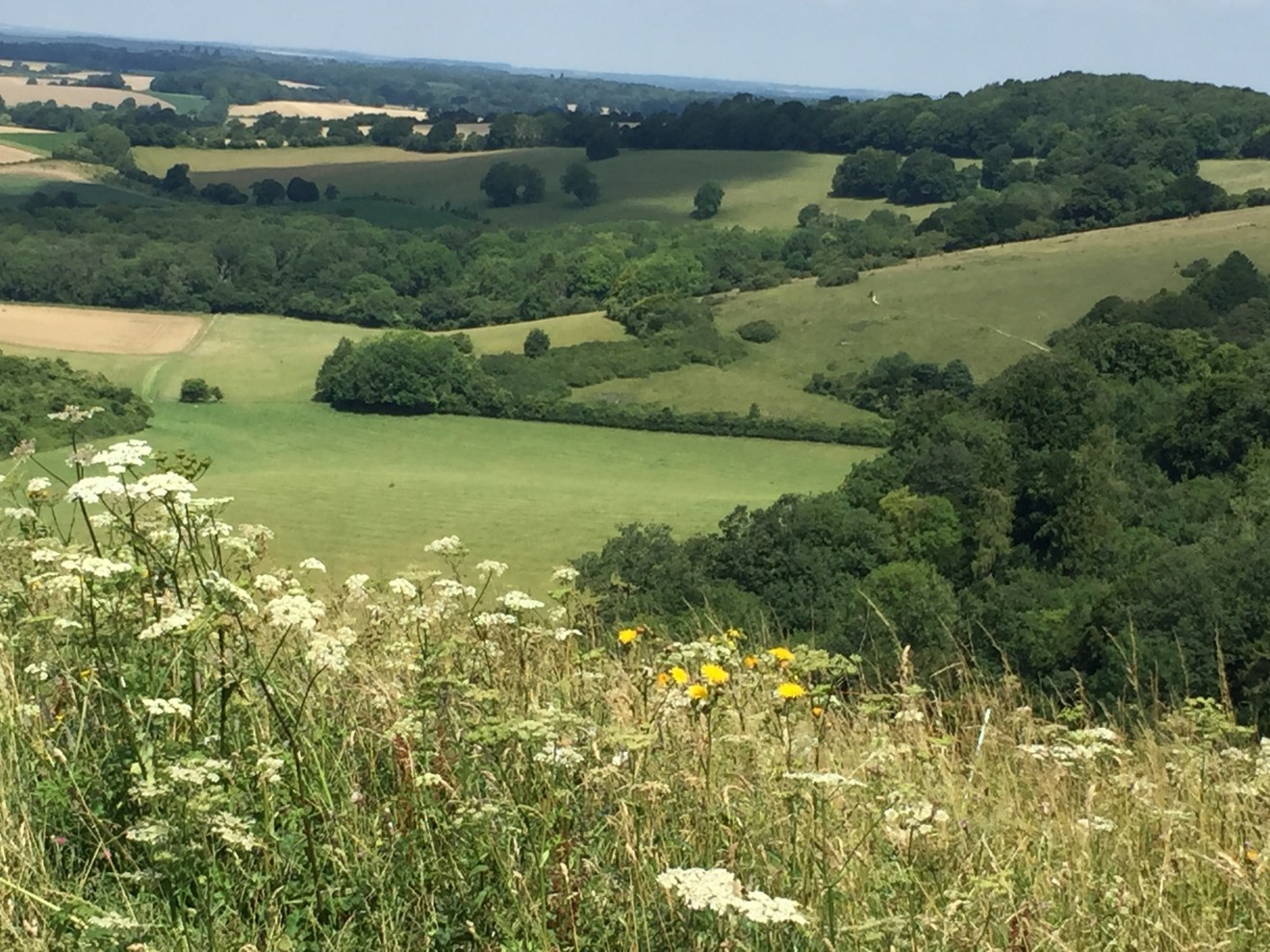 Homesick – Penelope Walker – writer