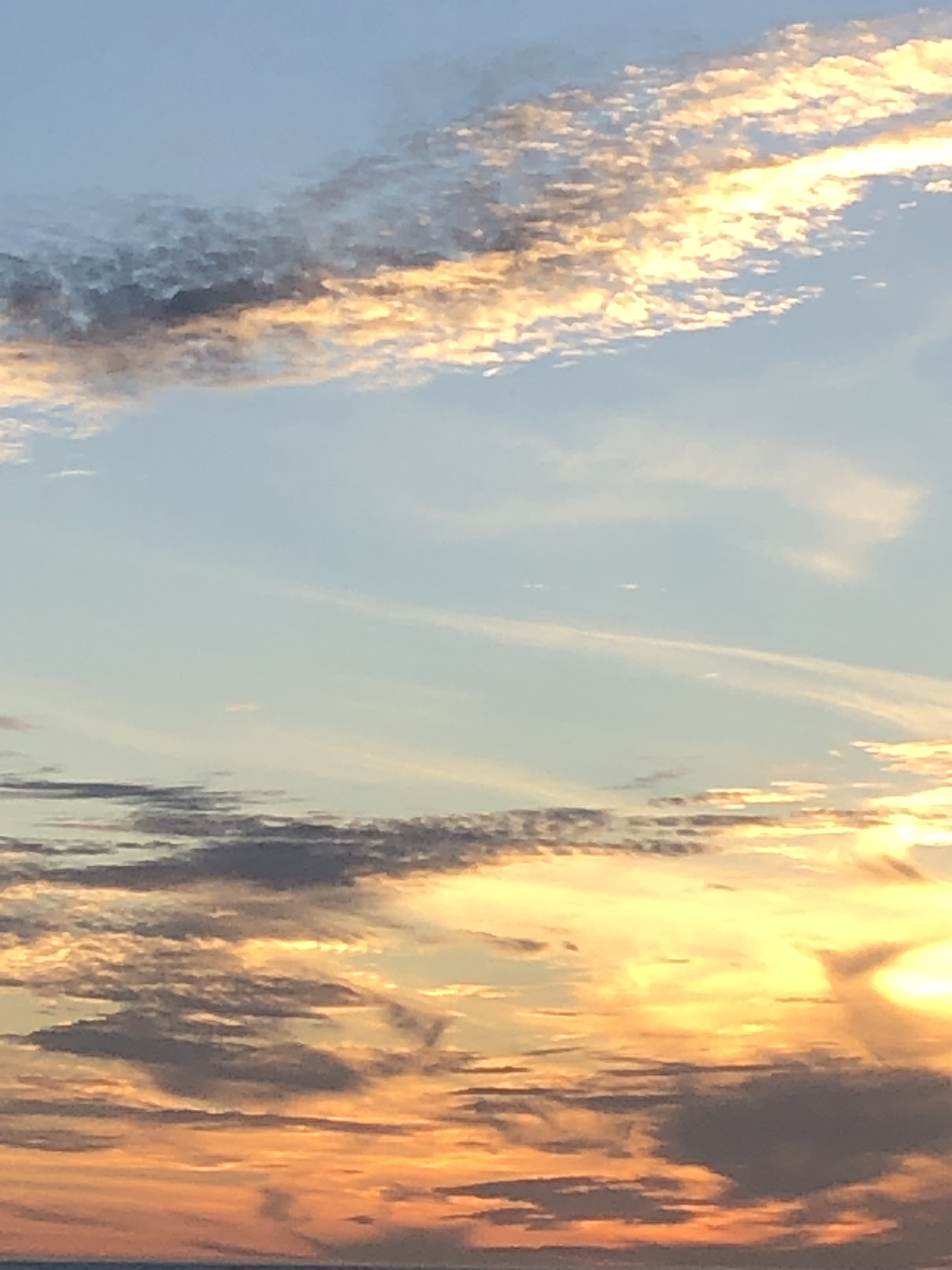 Physician Assisted Death: Has David Goodall inadvertently undermined ...